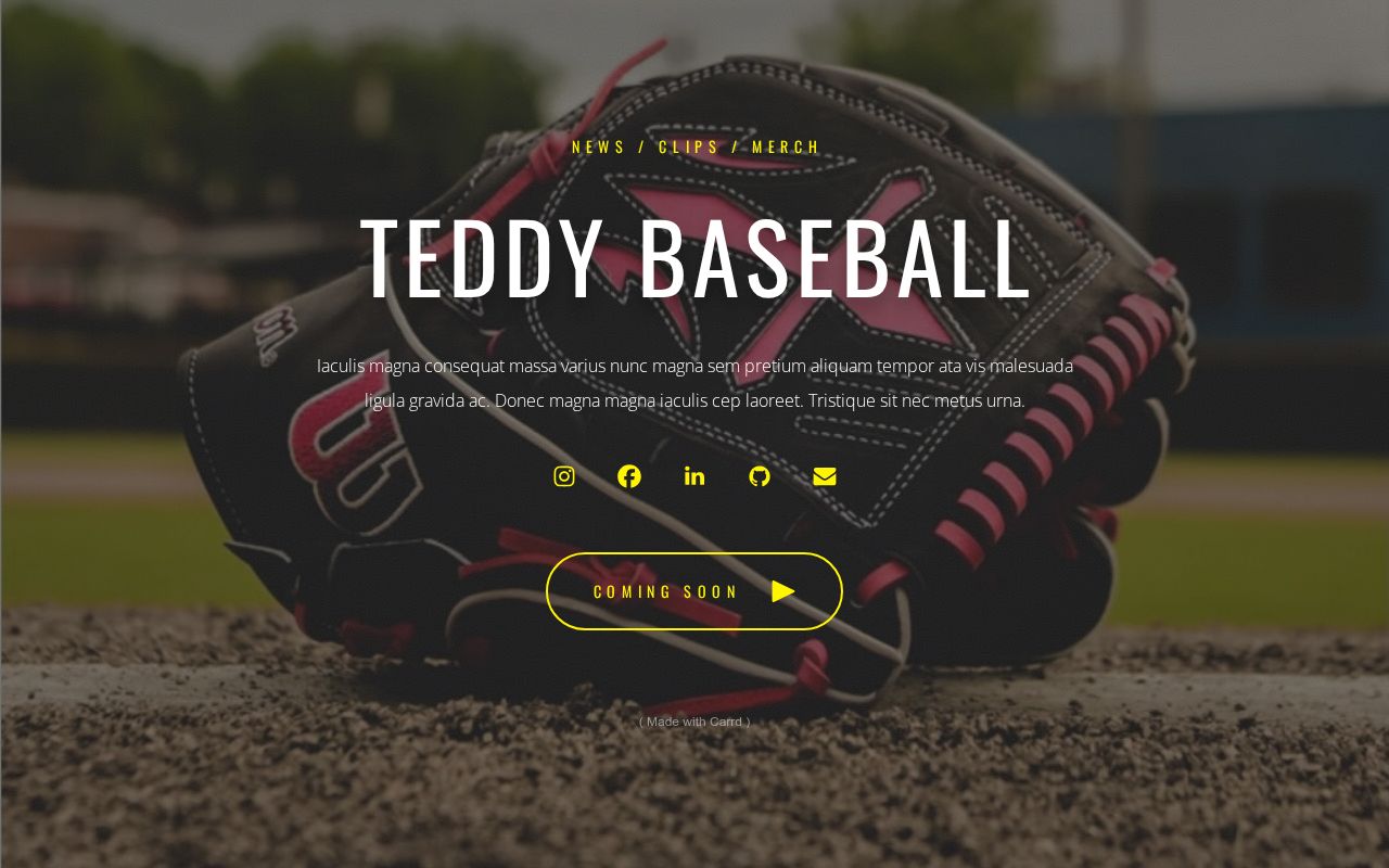 Teddy baseball